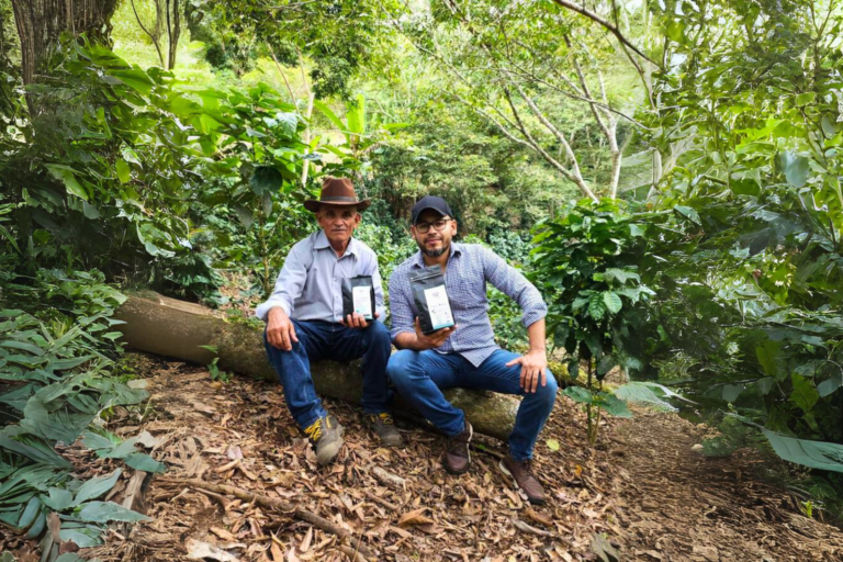 Neu im Sortiment: Café Talero - Tatico Kaffee Webshop